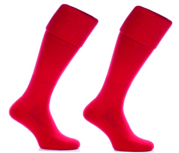 HARTSDOWN ACADEMY PE SOCKS - Ambition Sport