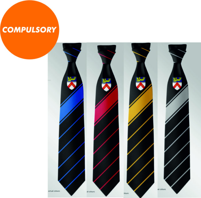 HARTSDOWN ACADEMY HOUSE TIE - Ambition Sport